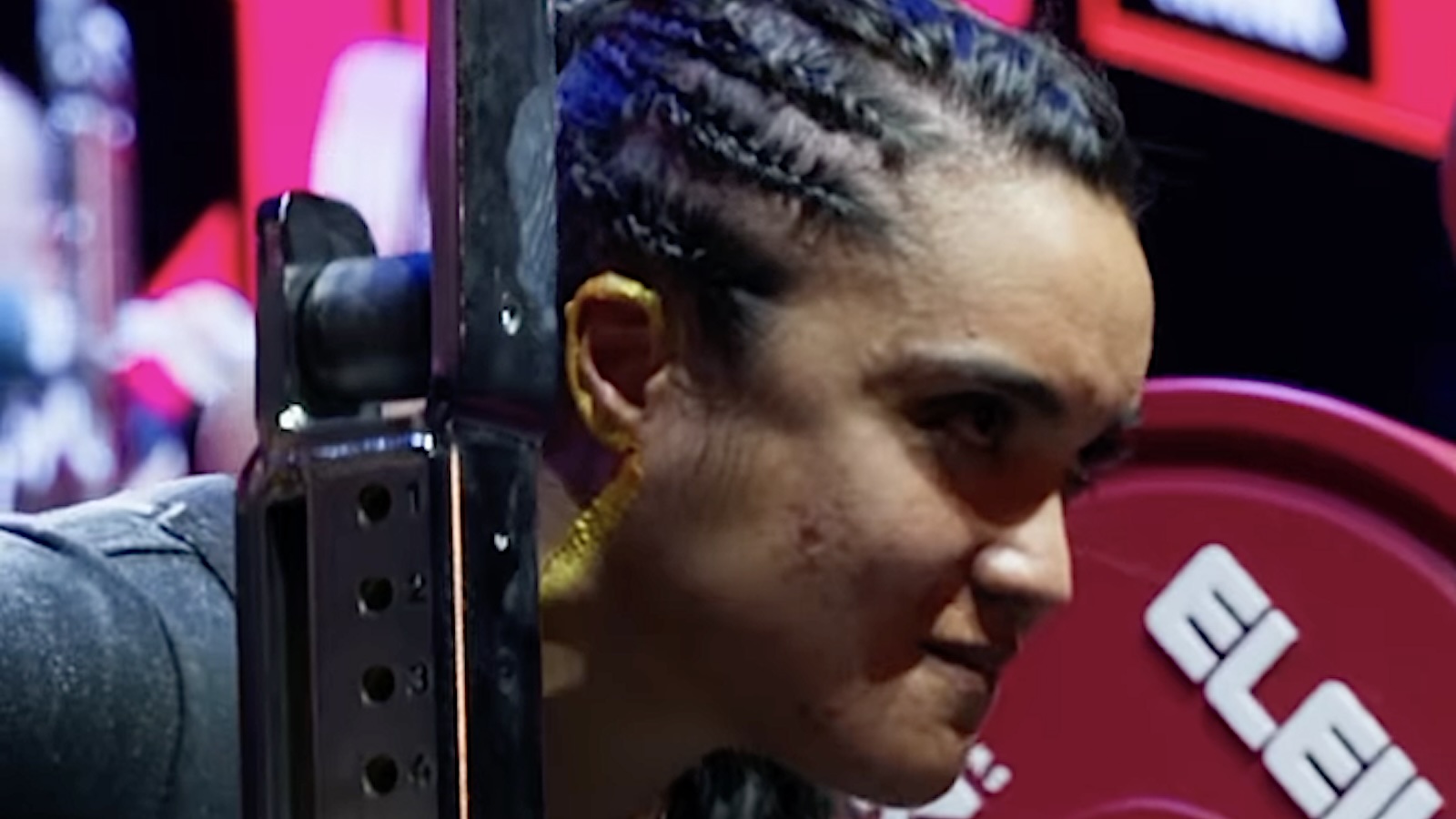 How Good Is Jeff Nippard’s “The Pure Bodybuilding Program ...