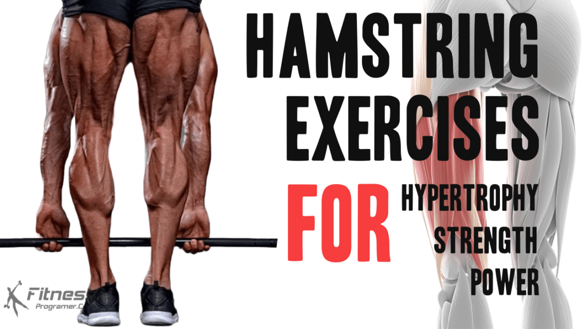 15 Best Hamstring Exercises: A Complete Workout Guide ...